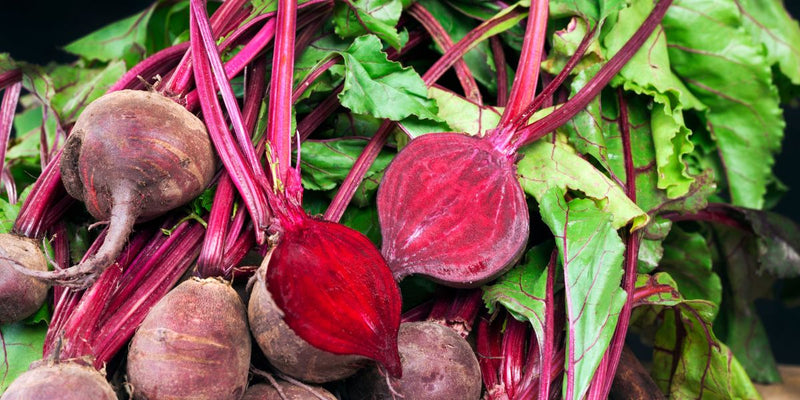 Diabetes and Beetroot: Nutrition & Health Benefits