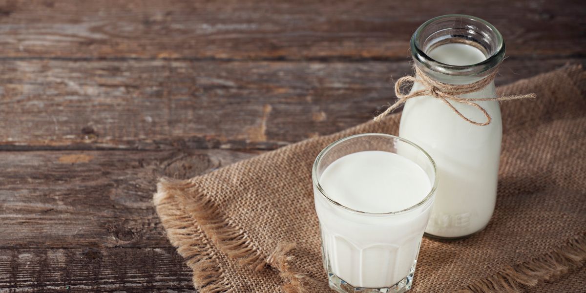 Is Milk Good for Diabetics? A Complete Nutritional Safety Guide