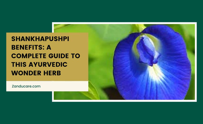 Shankhapushpi Benefits: Memory, Stress, and Skin Care Guide