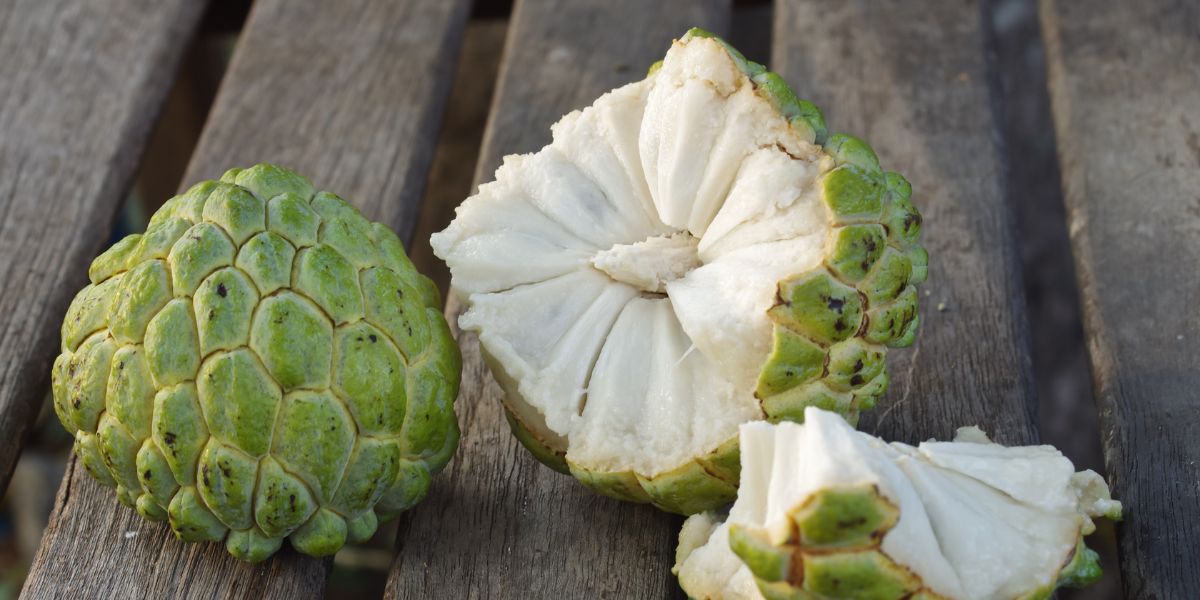 Rice and Diabetes: What Indian Research Says About Safe Choices