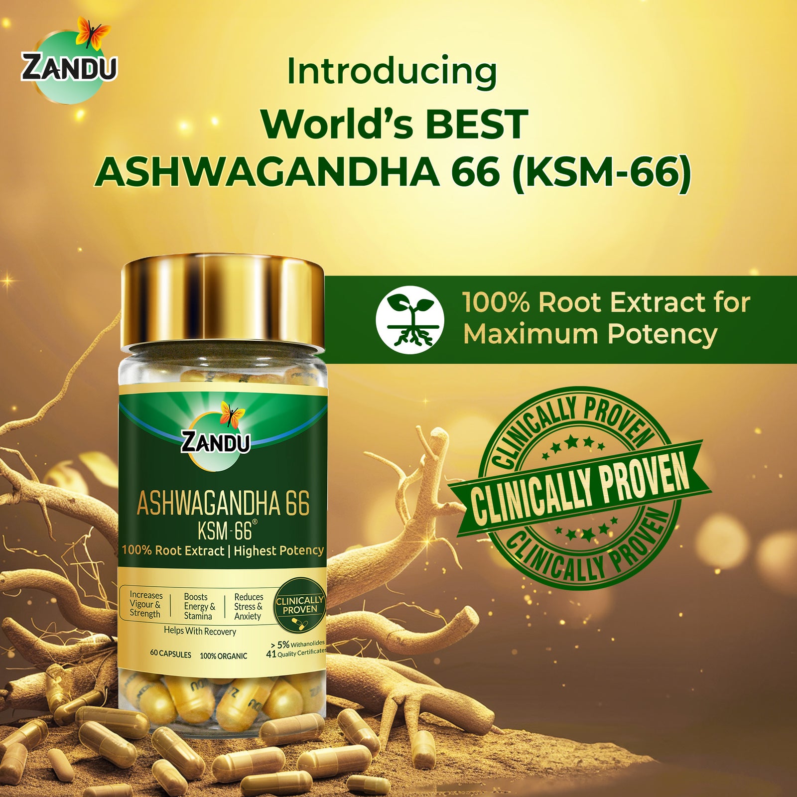 Buy 100% Ayurvedic Medicines for Anxiety & Stress | Zandu