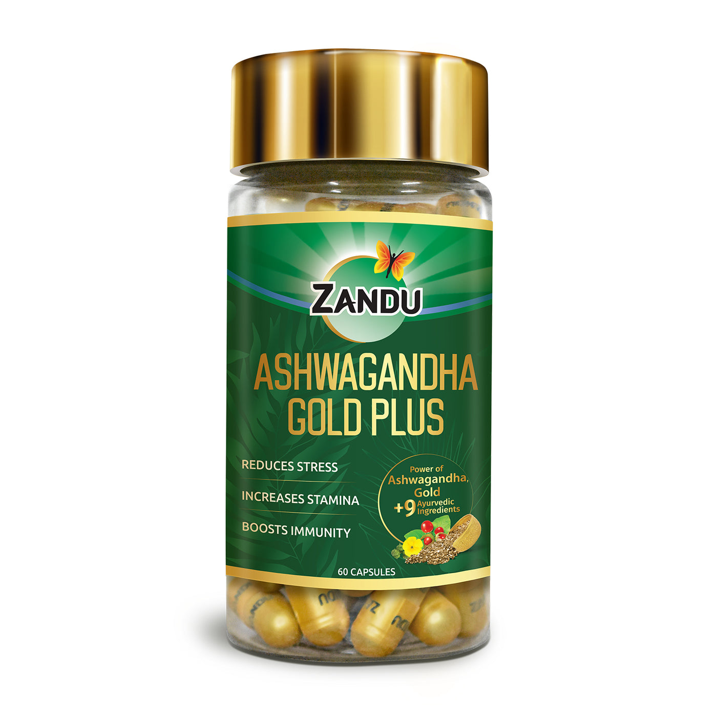 Buy Ayurvedic Immunity Booster Medicines at Best Price