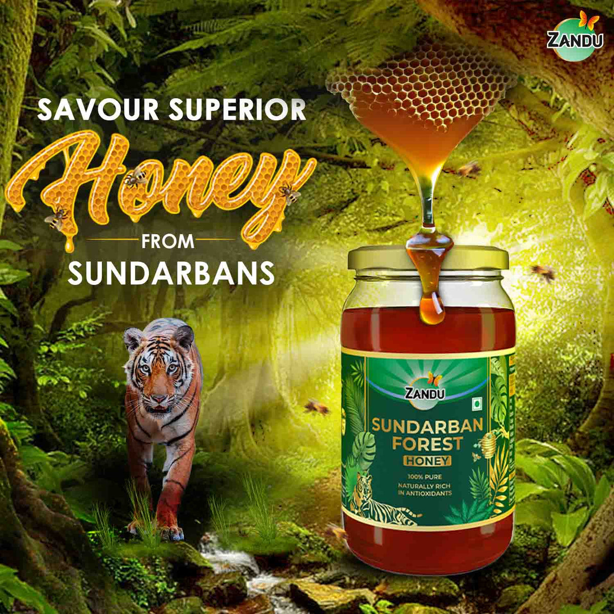 Zandu Pure Sundarban Honey (500ml) | Best Sundarban Honey
