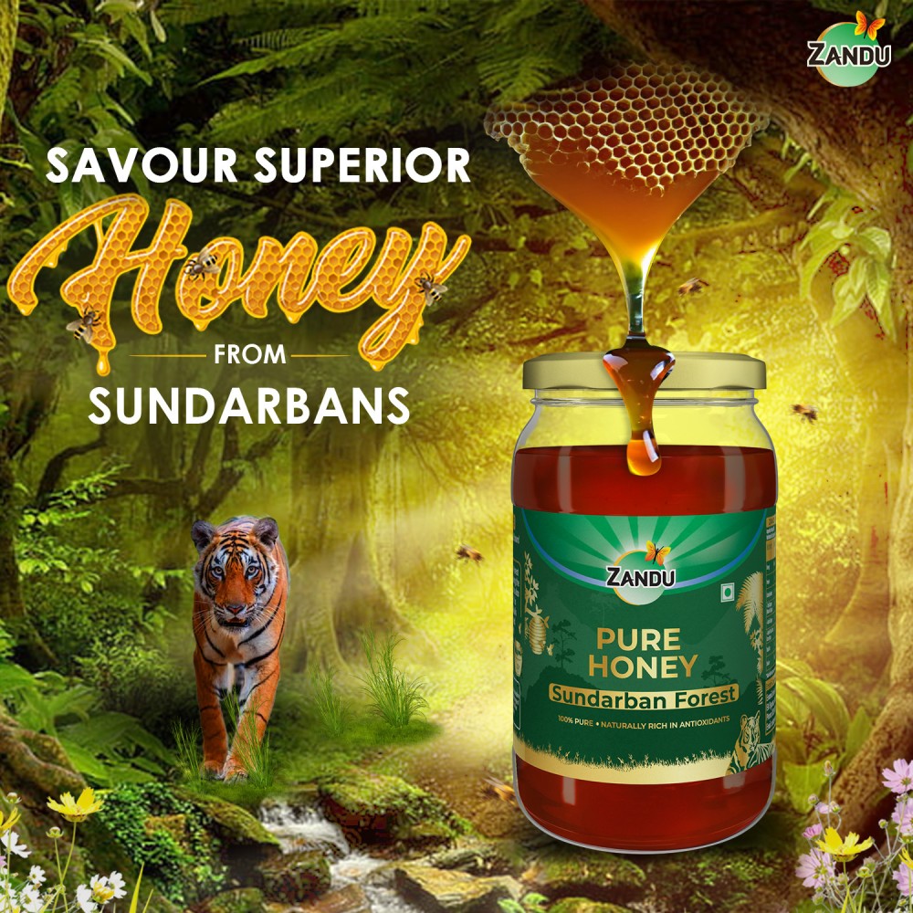 Buy Pure Sundarban Forest Honey (500g) | Zandu Sundarban Honey