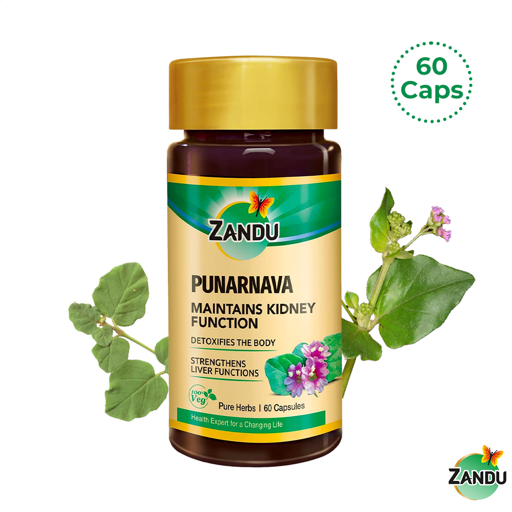 Buy Ayurvedic Immunity Booster Medicines at Best Price