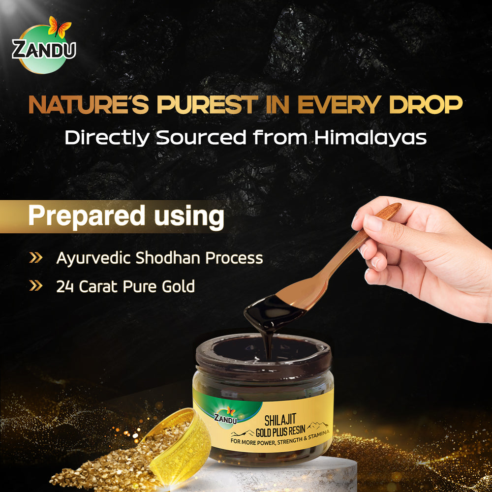 Shilajit Gold Plus Resin | Buy Shilajit Gold Plus Resin for Strength ...