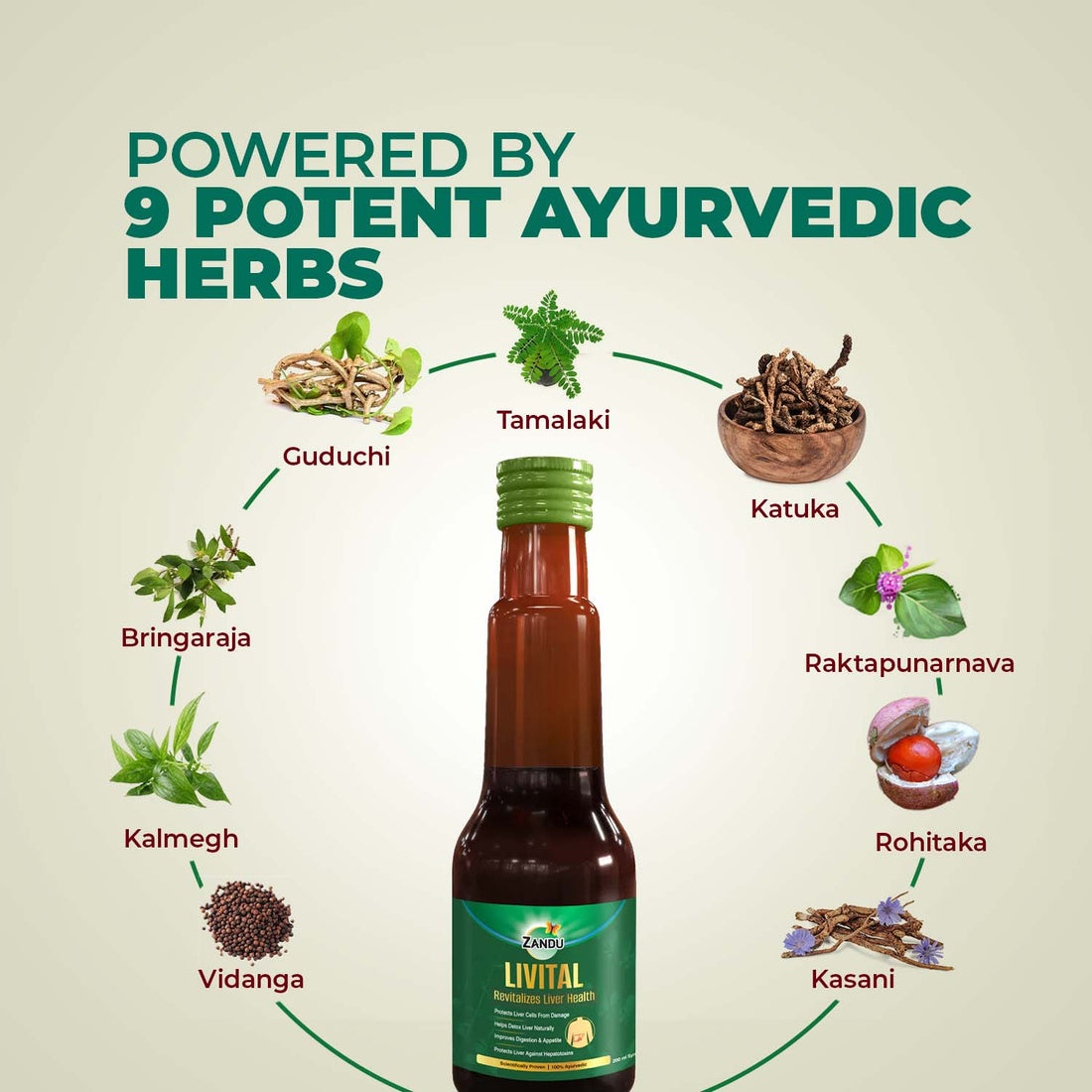 Zandu Livital Syrup (200 ml) | Ayurvedic Liver Detox Syrup | Boosts ...